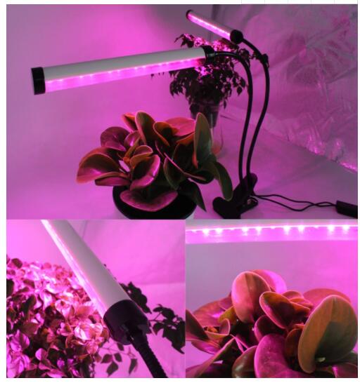 5050 Plant Blue Horticulture SMD Chip Full Spectrum SMD Led Grow Light